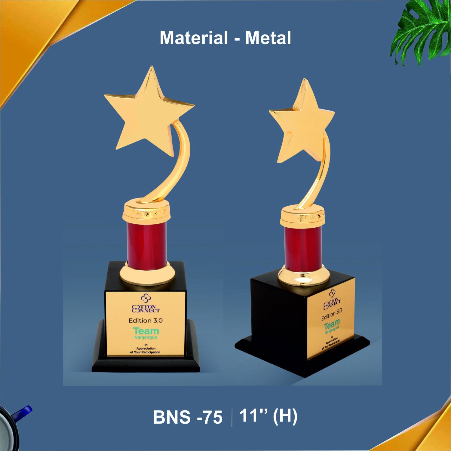 Metal Trophy Manufacturers In Delhi - Benson Trophies